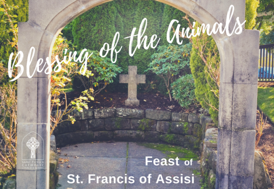 Pet Blessing Celebrating the Feast Day of St. Francis of Assisi - Saint ...
