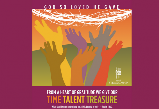 Renew Your Stewardship Commitment - Saint Patrick Catholic Church